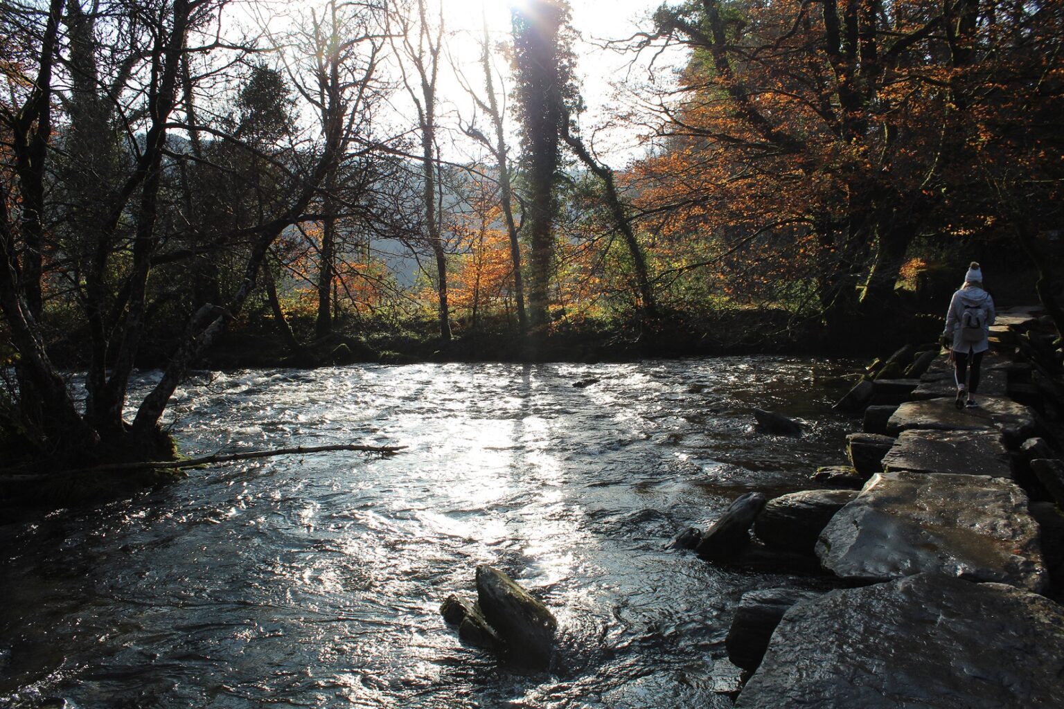 Photo Competition Winners - The Old Quarry Somerset